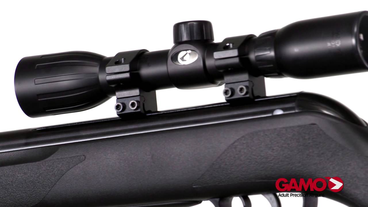 Gamo Buckmasters Squirrel Terminator - YouTube