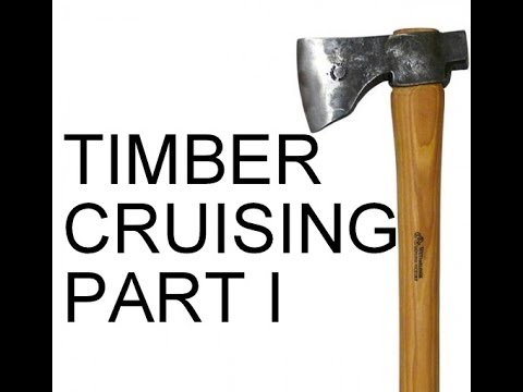 Timber Cruising Part I - YouTube