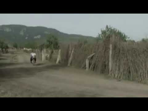 Gülməli hadisələr və videolar(4)