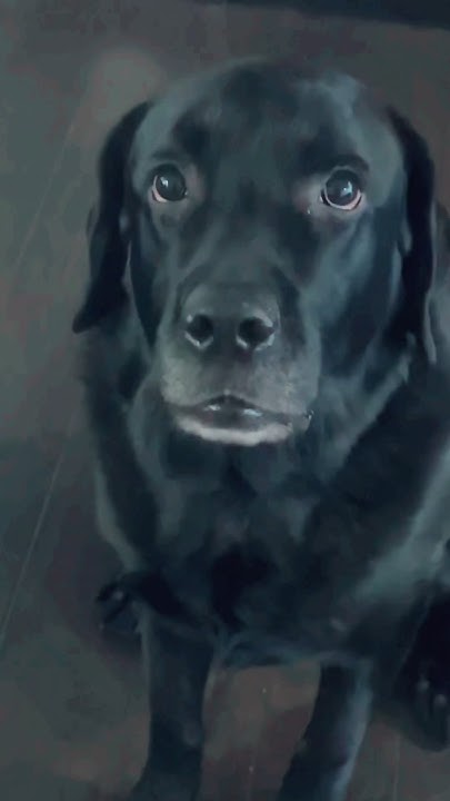 Sometimes the truth hurts - YouTube