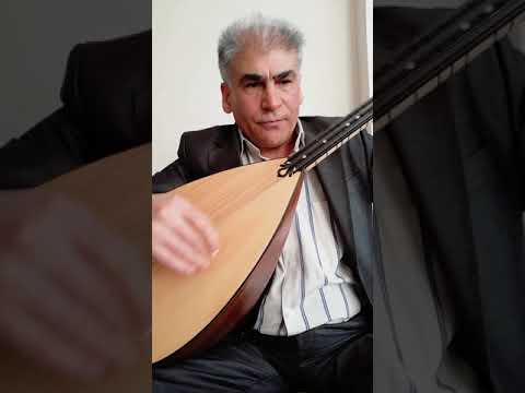 HAYAT BÜKTÜ YAR BELİMİ