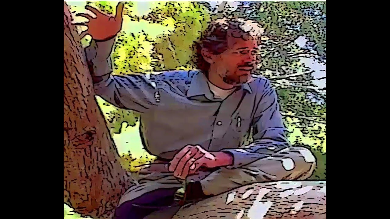 Terence McKenna: Sitting in Tree Talking about Virtual Reality - YouTube