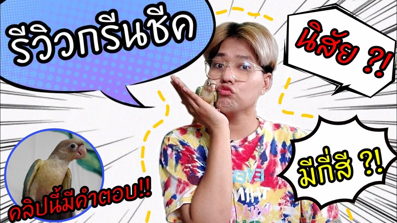 รีวิวนกกรีนชีค นิสัย ราคา สีสัน I BABA BANK - YouTube