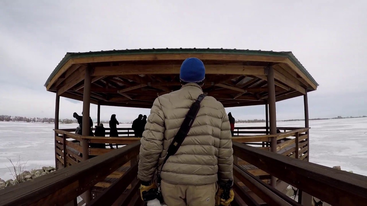 Barr Lake State Park and Bald Eagle Photography - YouTube