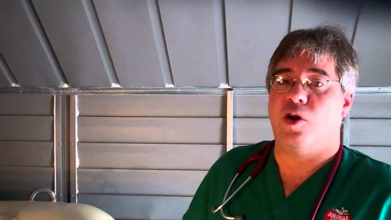 Dr. Geoff Bailey shows SeeMyBeach.com his Hyperbaric Chamber - YouTube
