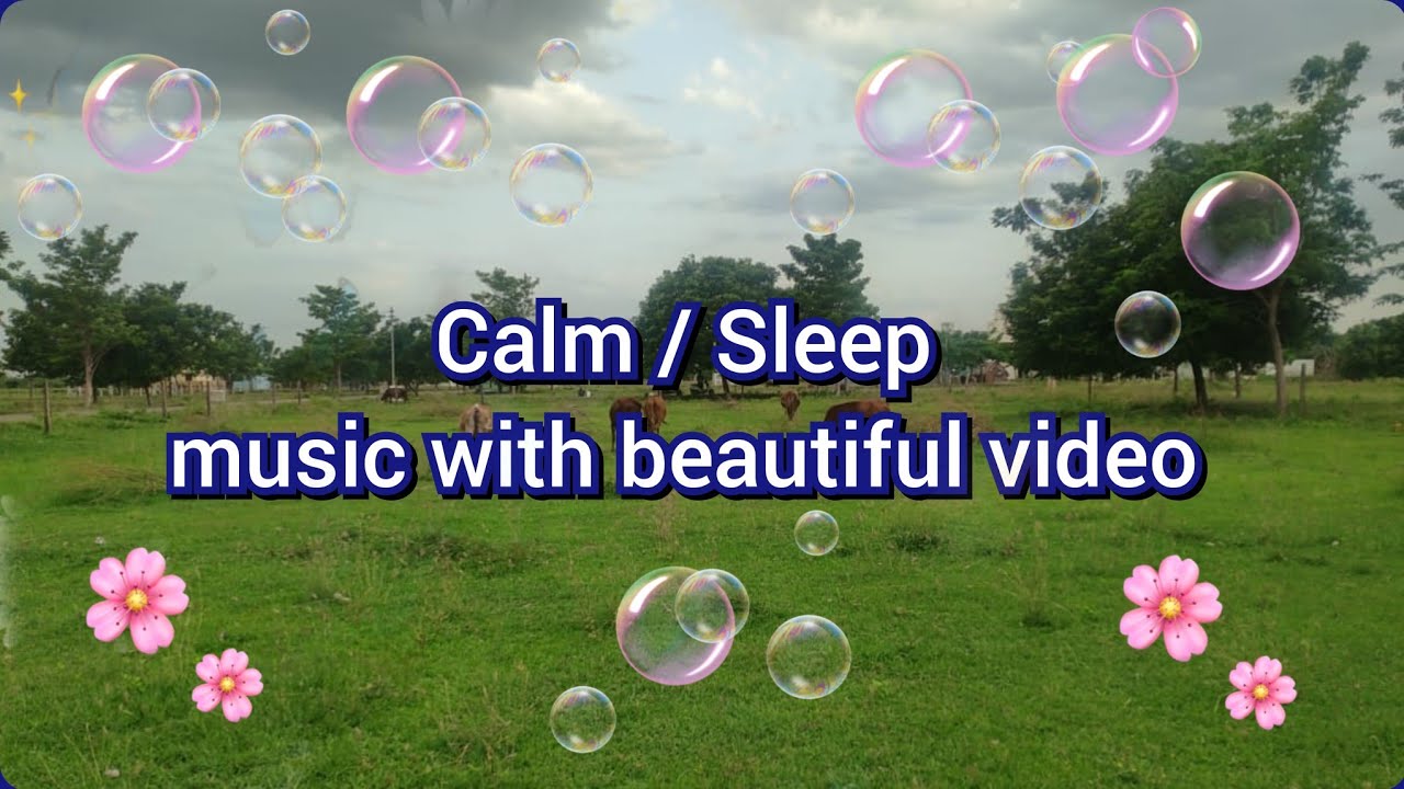 sleep music /Calm music with beautiful video /visual treat with calm ...