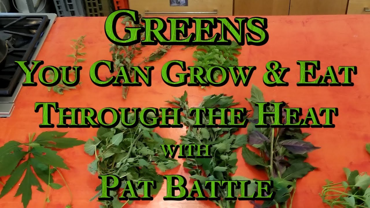 Greens You Can Grow & Eat Through the Heat with Pat Battle - YouTube