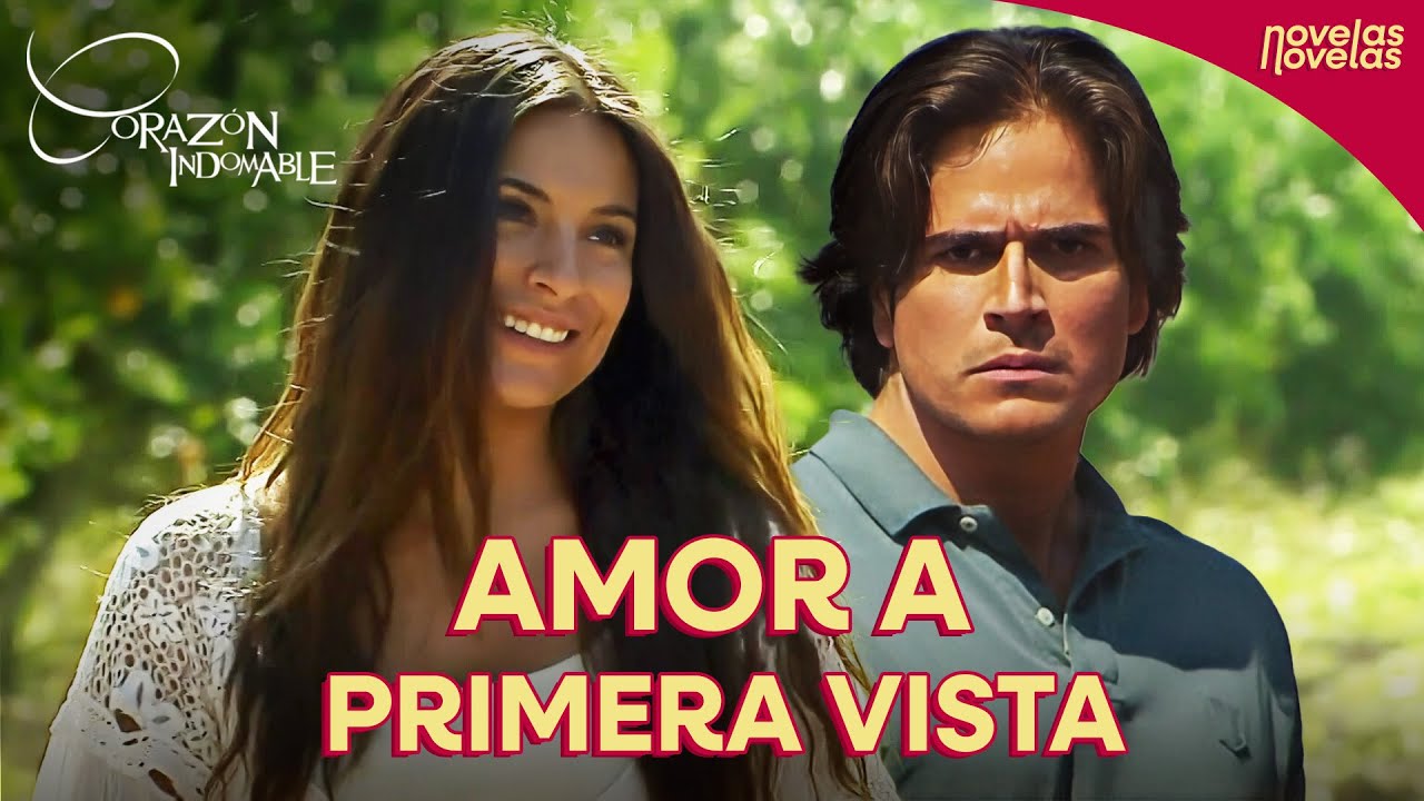 El primer encuentro de Maricruz y Octavio | Corazón Indomable - YouTube