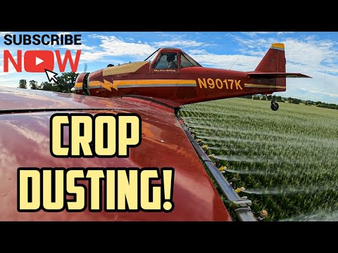 Crop Dusting Corn with Fungicide at 135 MPH! - YouTube