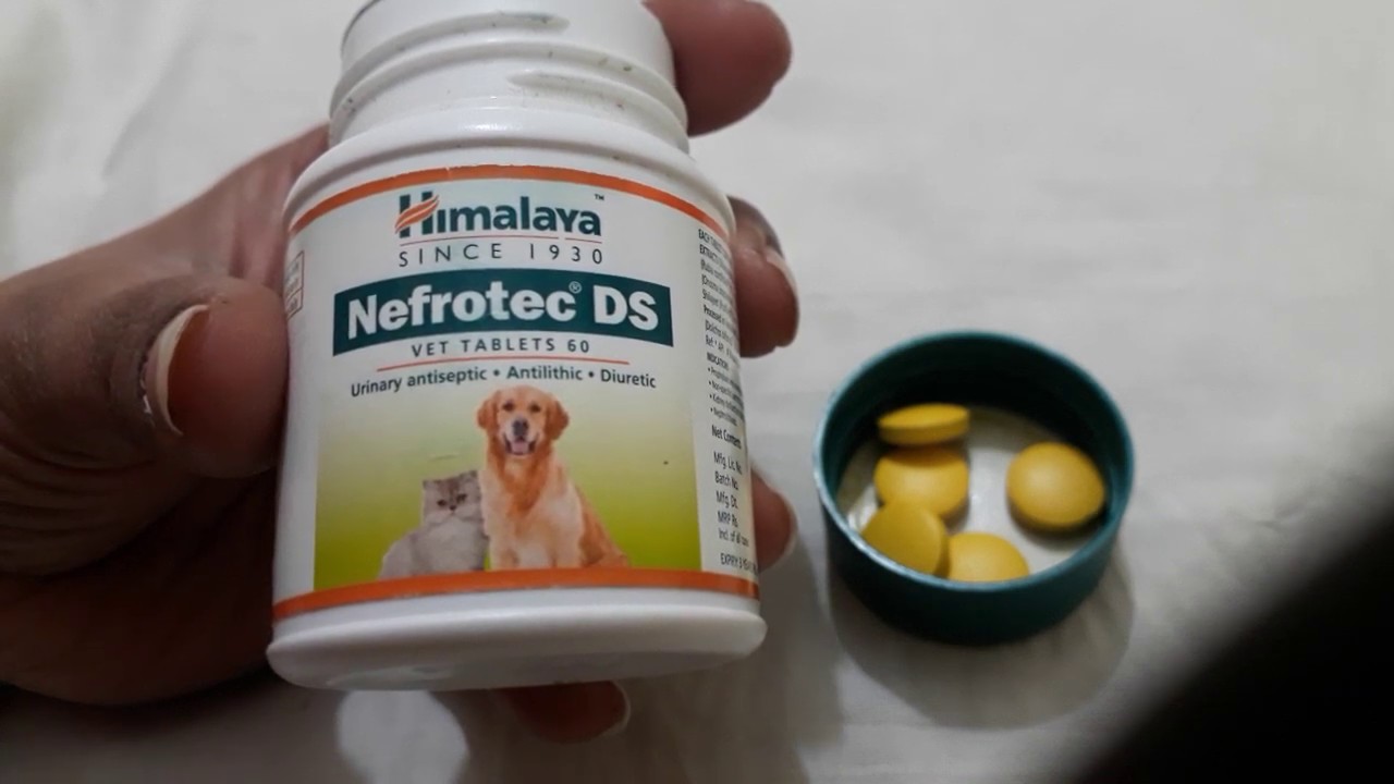 Himalaya Nefrotec DS VET TABLET - YouTube