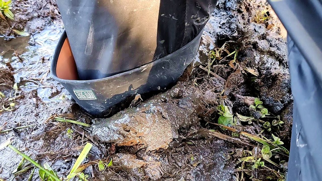 Waders were firmly stuck in the quagmire (in deep mud) 😱 - YouTube