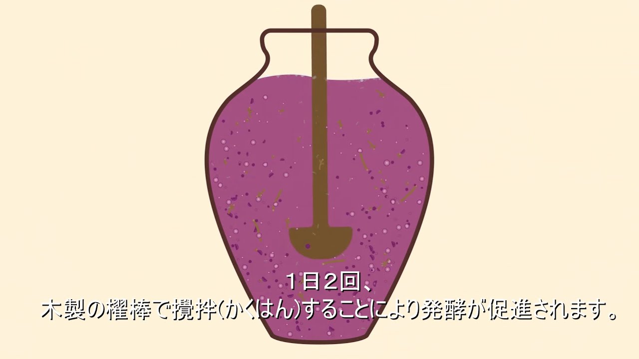 Amphora Wine - YouTube