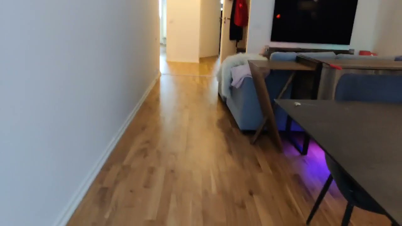 LOST TO CAT OMEGALUL - YouTube