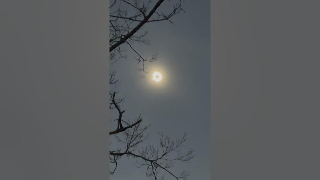 Eclipse April 8 - YouTube