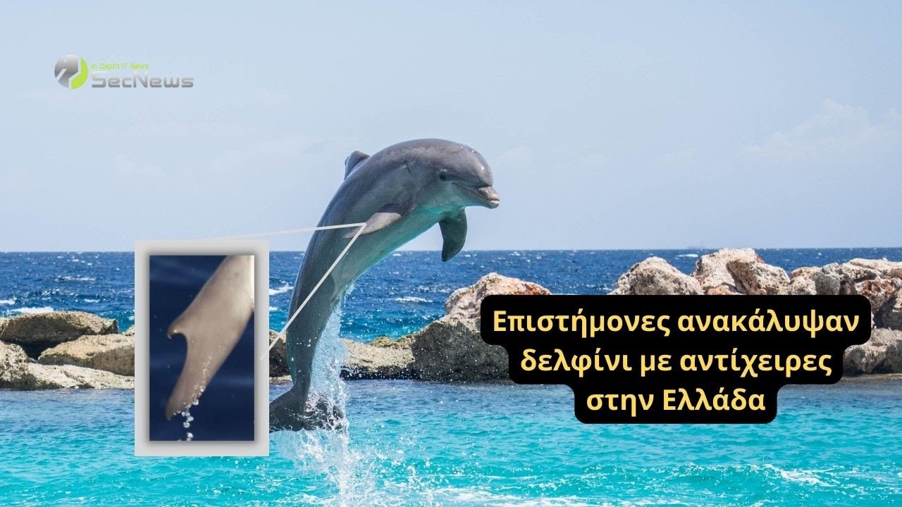 Επιστήμονες ανακάλυψαν δελφίνι με αντίχειρες στην Ελλάδα - YouTube