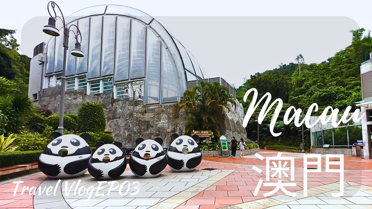 [Macao 🇲🇴 澳門 EP03] Giant Panda Pavilion . 大熊貓館 | 4K Travel Vlog - YouTube