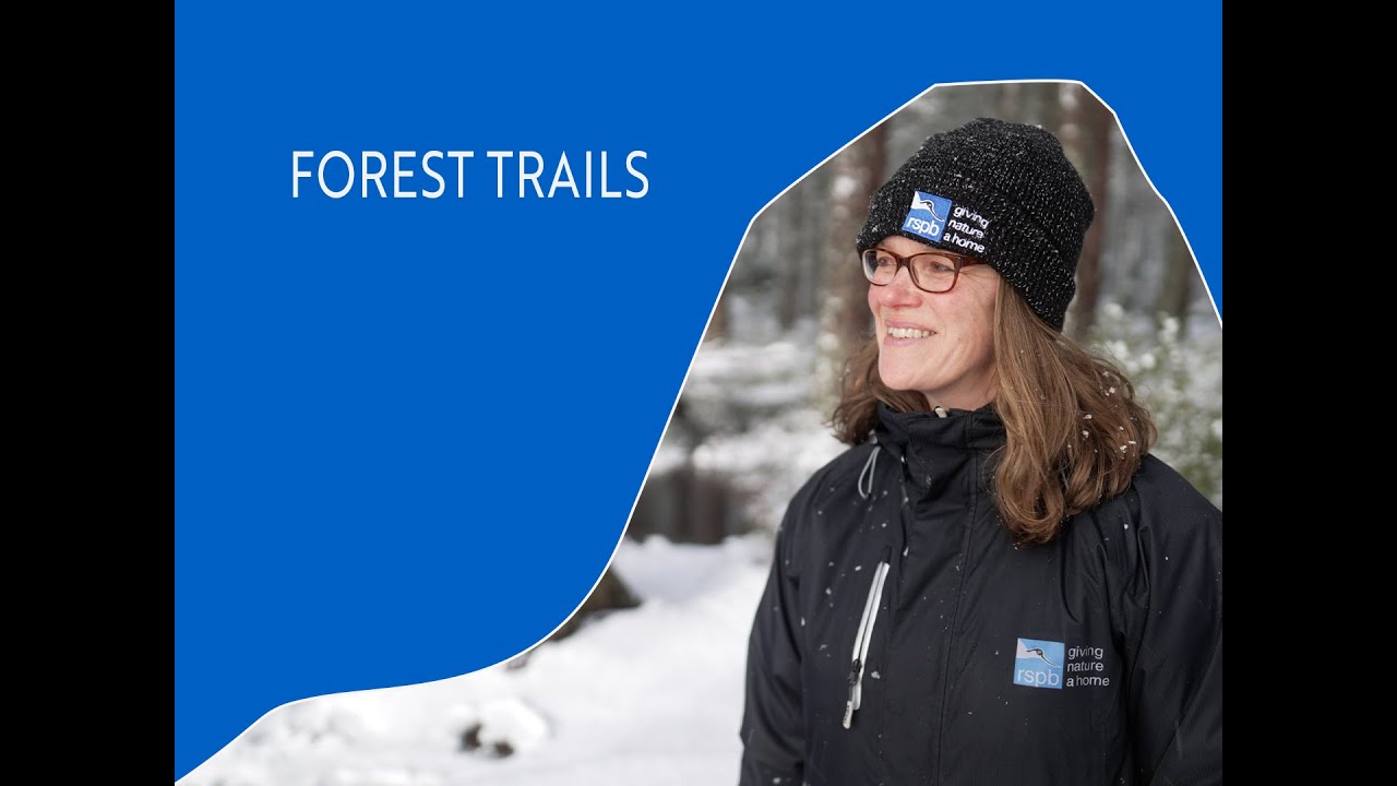 FOREST TRAILS - making a walk worth more - YouTube