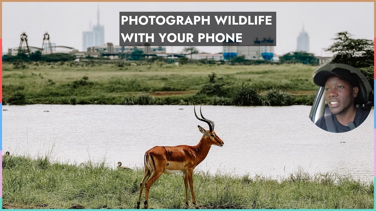 How to use your phone to shoot wildlife photography in a safari ...