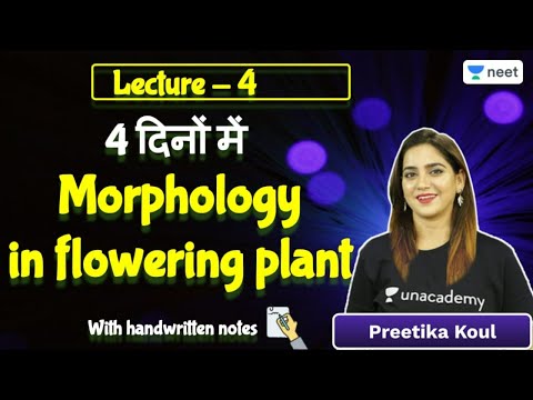 NEET: Morphology in flowering plant | Lecture -4 | Biology | Unacademy NEET | Preetika Koul