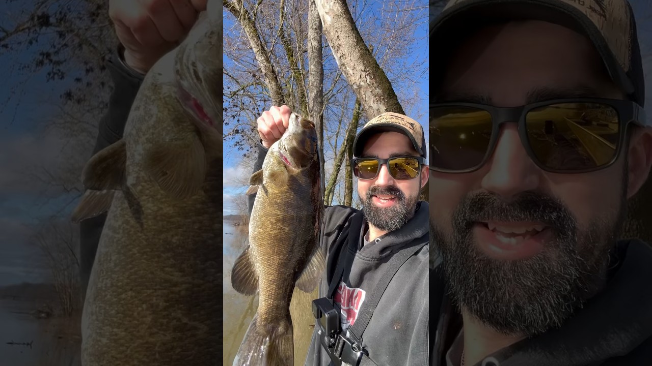 BIG SMALLIE CATCH!!! #susquehannariver #bassfishing #bankfishing # ...