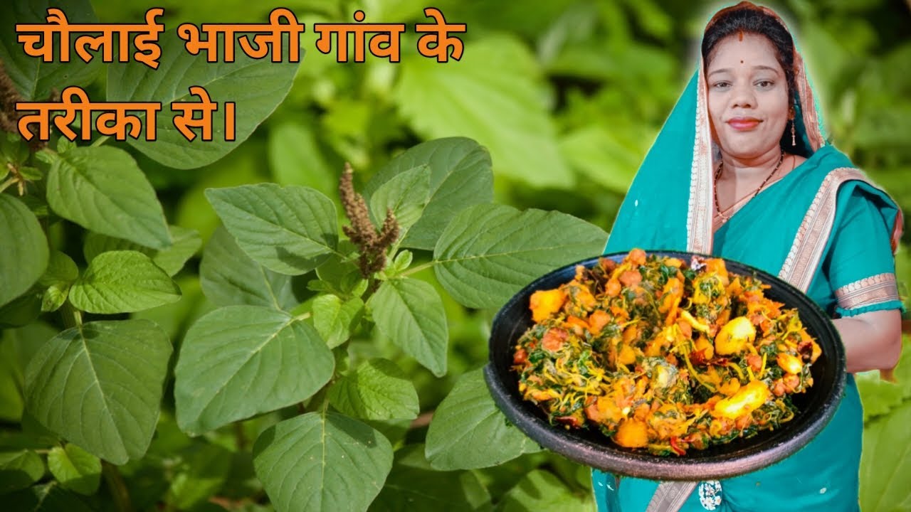 चौलाई भाजी बनाएं के गांव वाले तरीका || chawlai bhaji recipe || cg ...