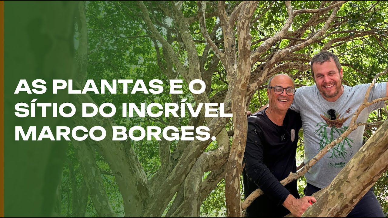 As plantas e o sítio do incrível Marco Borges. - YouTube
