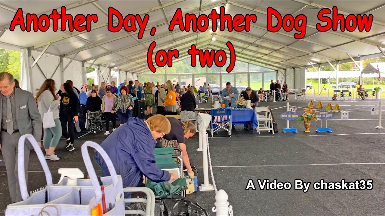 Another Day, Another Dog Show (or two) - YouTube