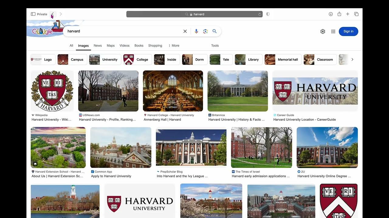 Project 0 - Search - CS50’s Web Programming with Python and JavaScript ...