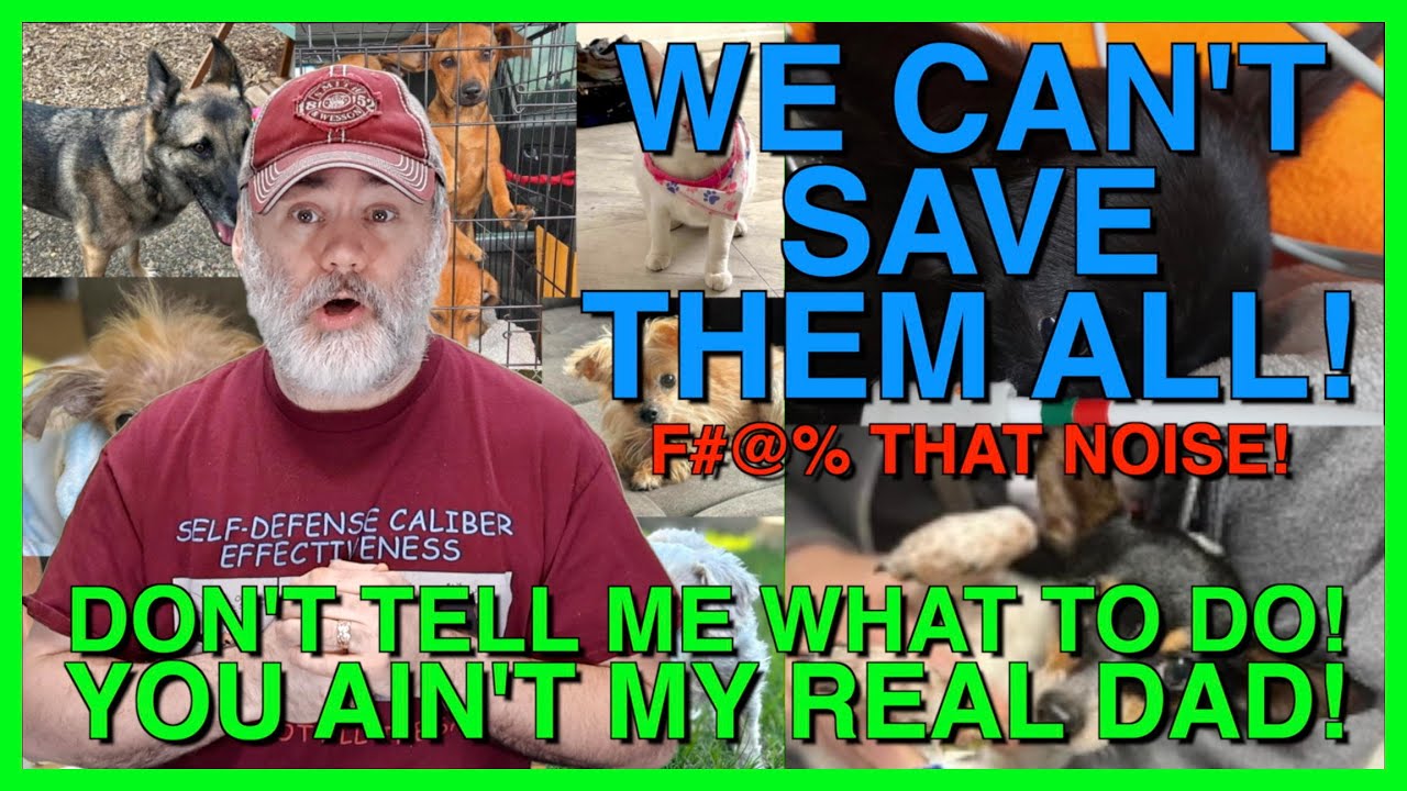 We Can't Save Them All...DON'T TELL ME WHAT TO DO! YOU AIN'T MY REAL ...