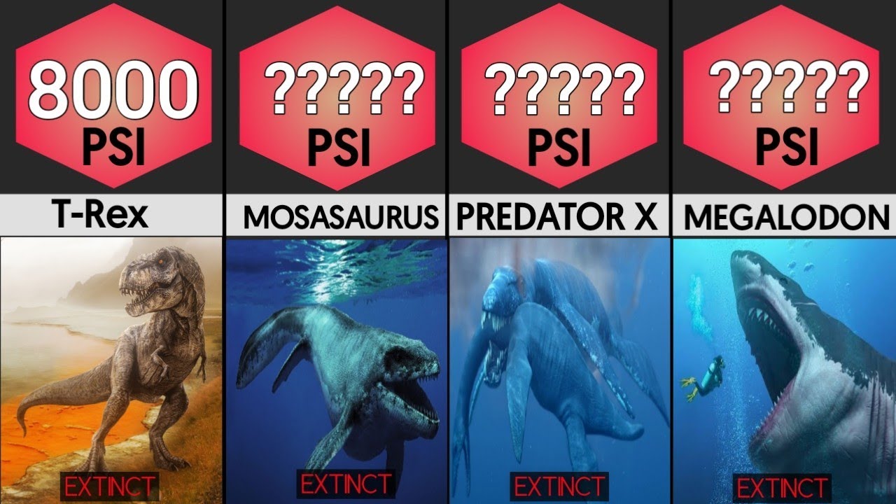 Animals Bite Force Comparison Most Powerful Bites In The World Bite