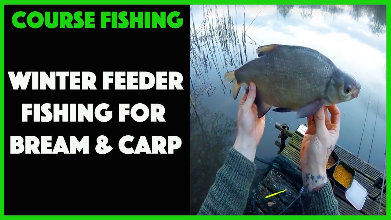 Winter Feeder Fishing | Bream & Carp | 2017 - YouTube