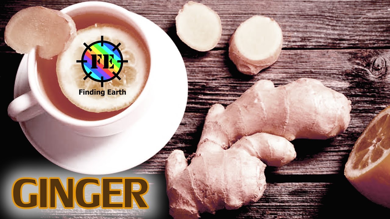 Complete Book of Ginger (Finding Earth) - YouTube