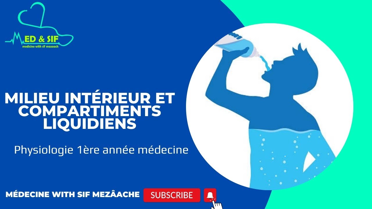 3/ Milieu intérieur et compartiments liquidiens | Physiologie 1ère MED ...