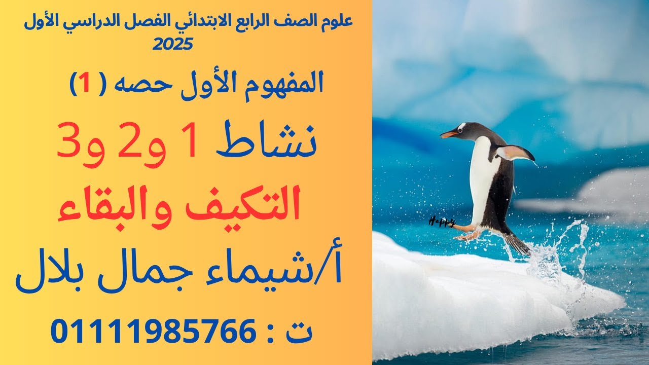 شرح الحصه الاولي علوم الصف الرابع الابتدائي الفصل الدراسي الأول مفهوم