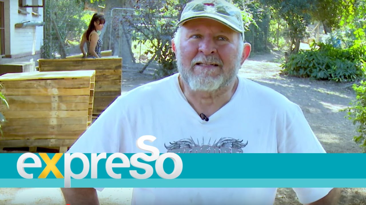 Garry Walker’s Kennels For Rescued Dogs | 14 July 2017 - YouTube