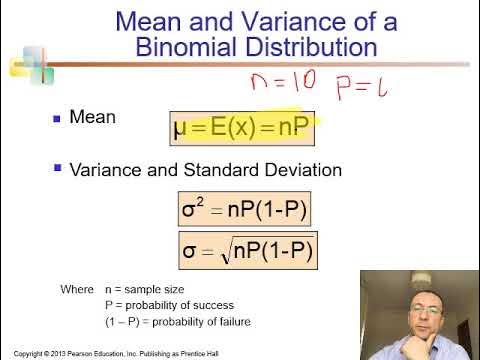 newbold sbe8 ch04 - YouTube