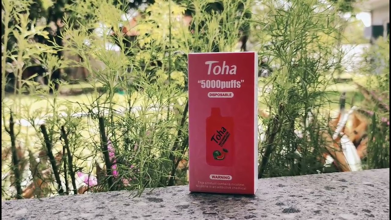 TOHA 5000 PUFFS DISPOSABLE VAPE! - YouTube