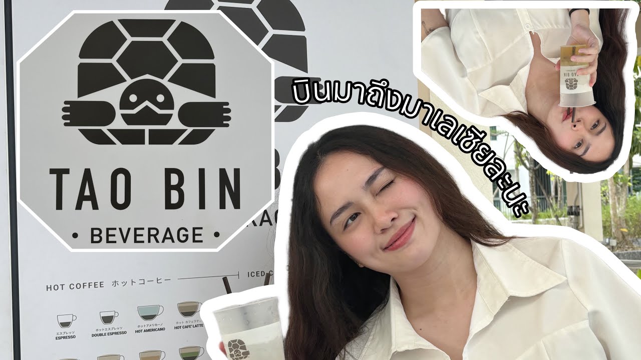 Tao Bin in Malaysia (No sponsored) : เต่าบินบินมาถึงมาเลเซียแล้ว !! - YouTube