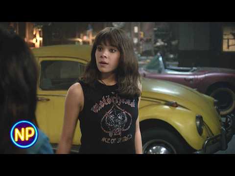 The Beetle Transforms | Bumblebee