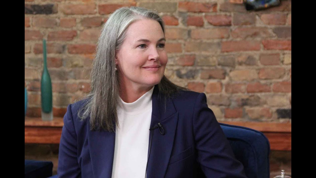 Candidate for State Senate Sue Shink - YouTube