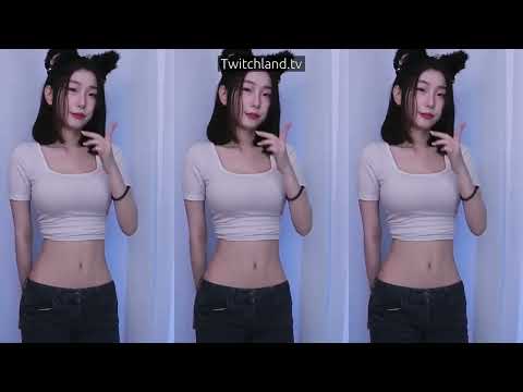 Be your cat dance 2