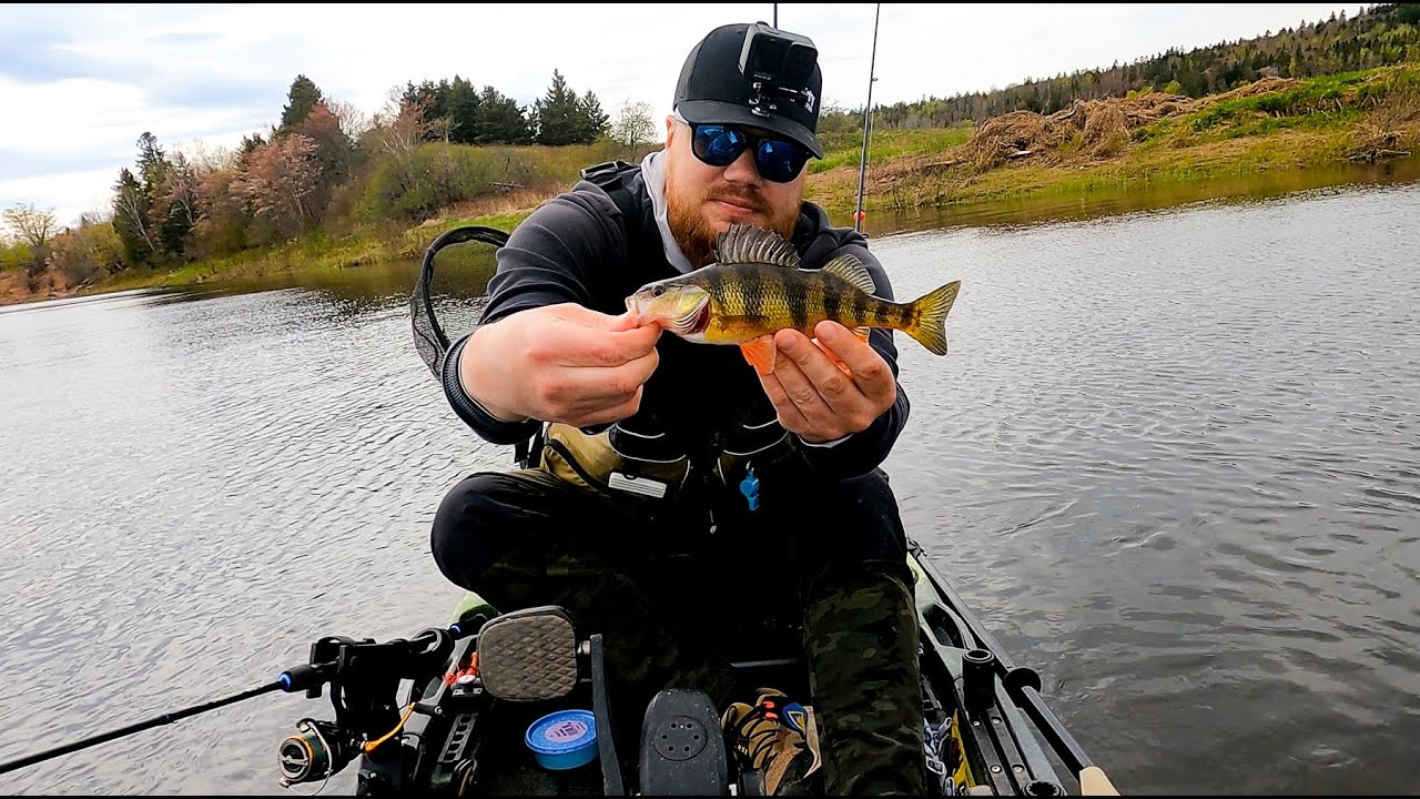 Early Spring PERCH FISHING From a Kayak And Lunch On The River Bank ...