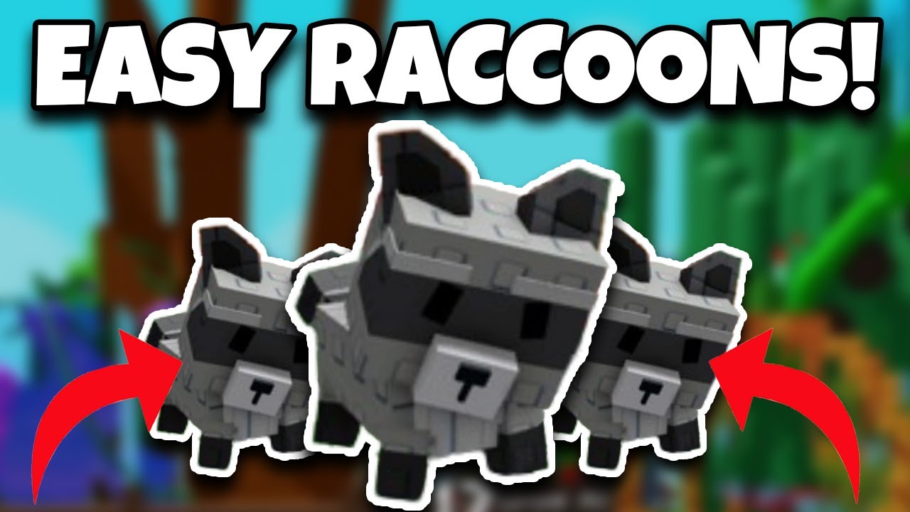 How to get Raccoons NOW in Grow A Garden - YouTube
