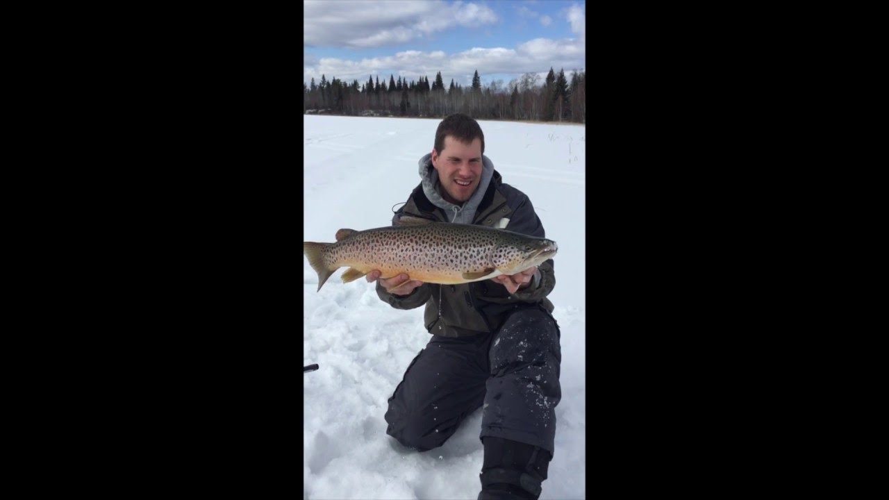27 inch Brown Trout, Little Raspberry Lake - YouTube