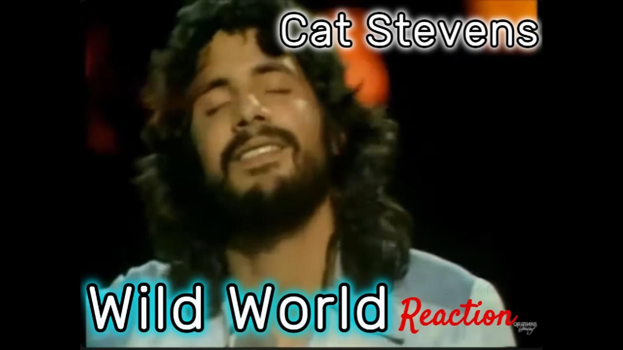 Cat Stevens Wild World video Reaction - YouTube