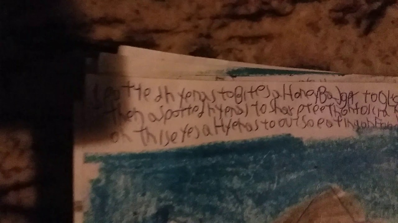 Who would win book Hyena vs honey badger 2 - YouTube