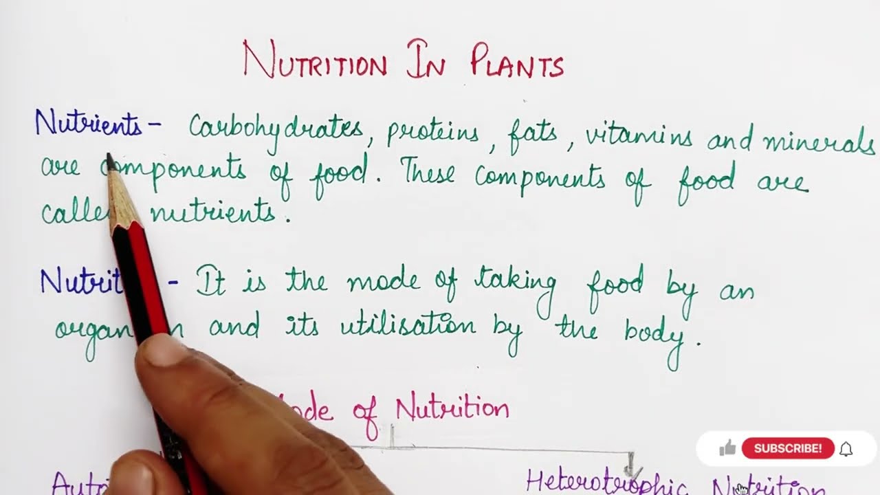 Nutrition in Plants Notes (Part 1) | Class-7 Science Chapter 1 NCERT ...