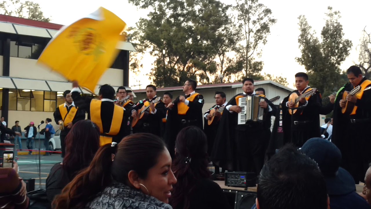 05 Estando en otras tierras - Tuna del CICS-UMA del IPN - YouTube