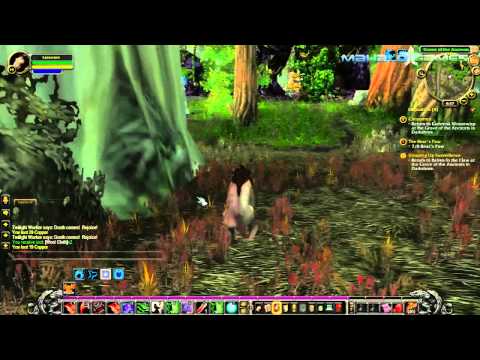 WoW Cataclysm Darkshore Walkthrough Part 24 - YouTube