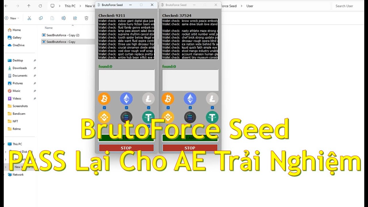 BrutoForce Seed - Hướng dẫn sử dụng TOOL SCAN WALLET CRYPTO - Pass Lại Hạt Rẻ Cho AE LH ...